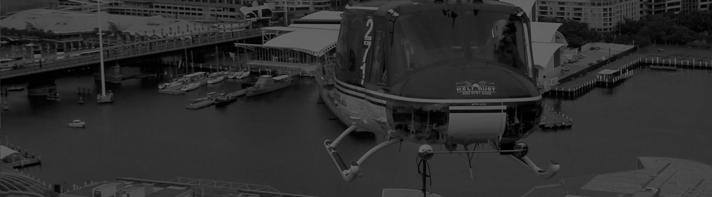 Read about our past projects and services- Ryan Wilks